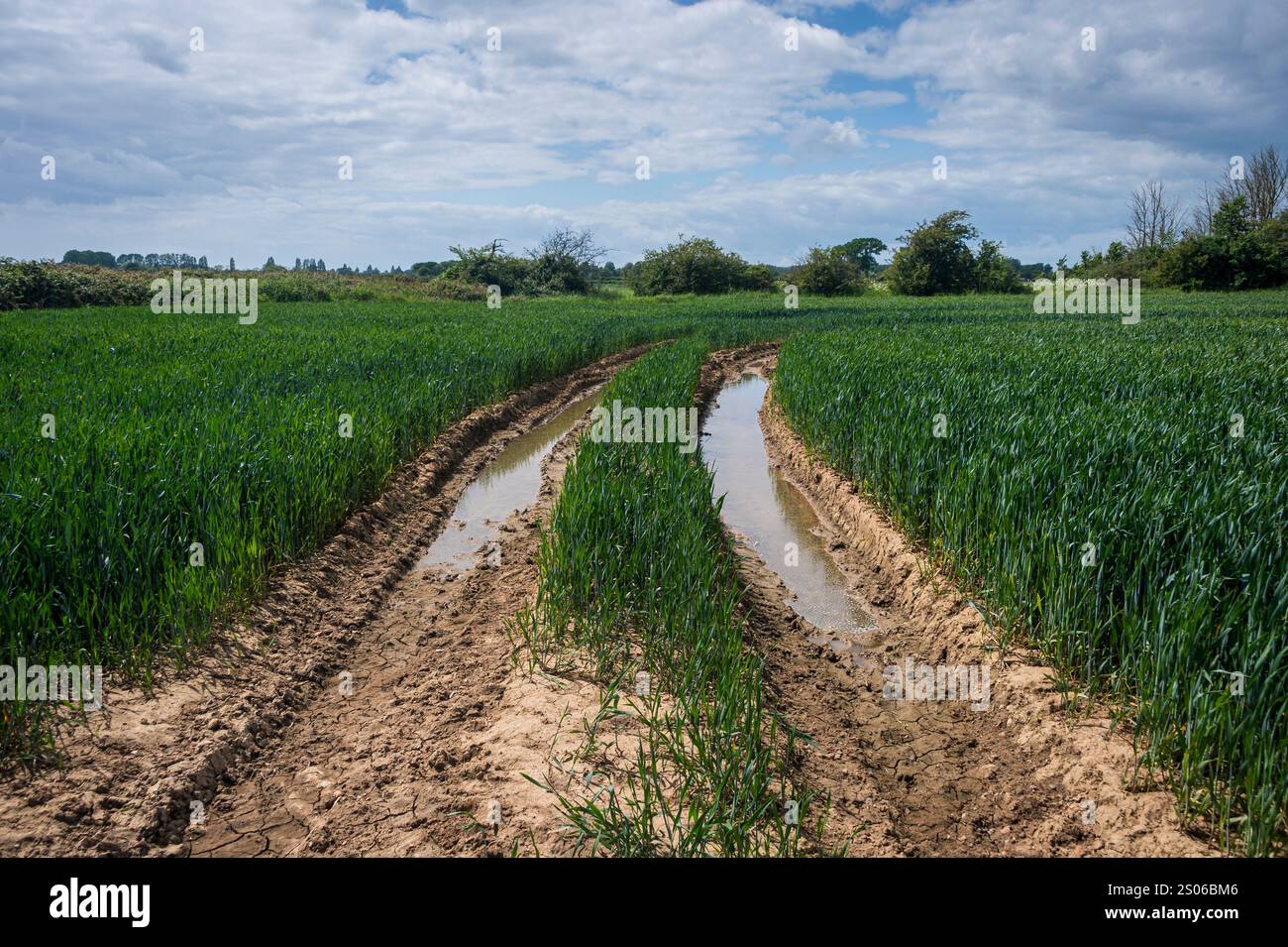 Muddy tracks field hi-res stock photography and images - Alamy