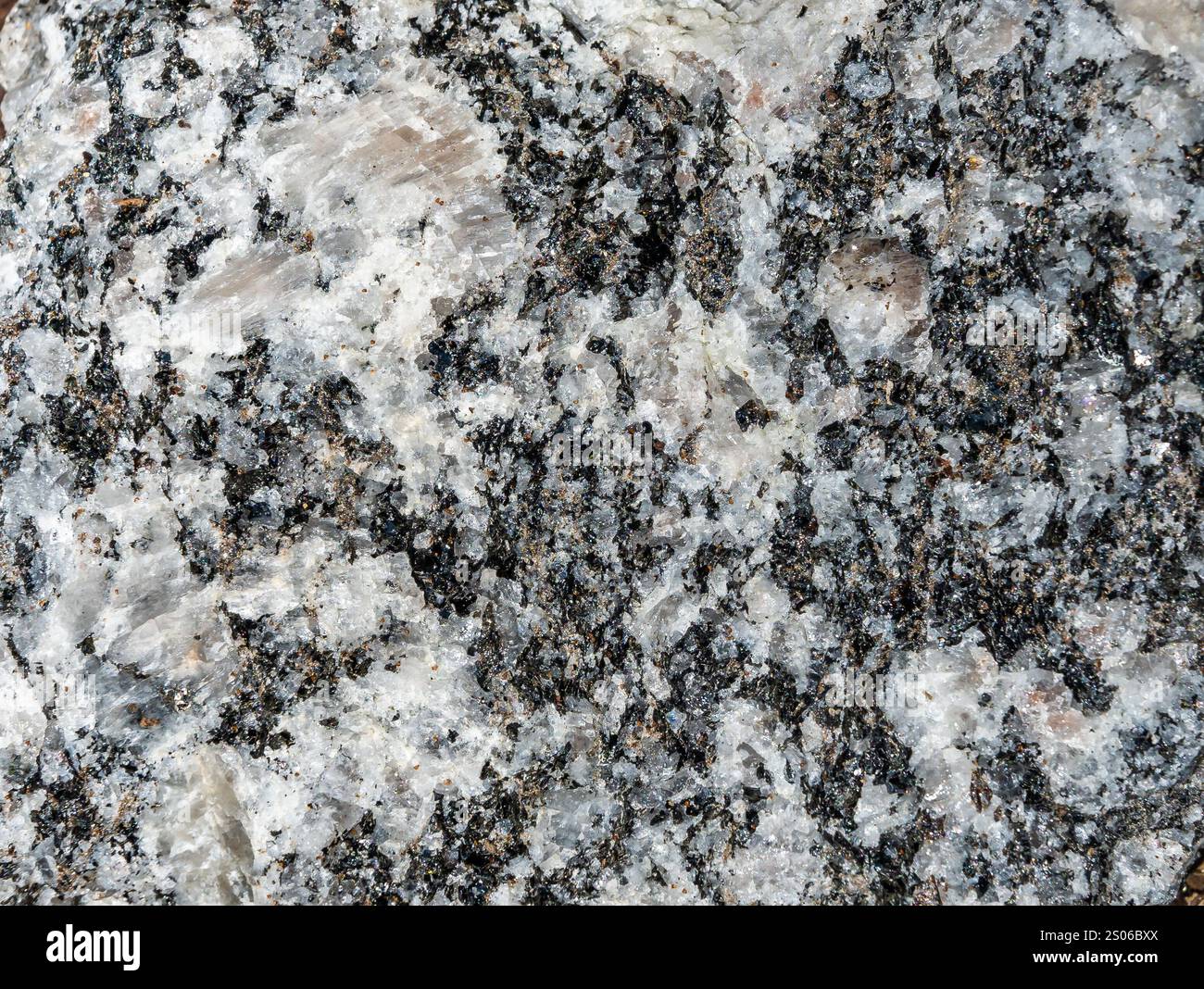 Close up of gneiss, a high grade metamorphic rock consisting of ...