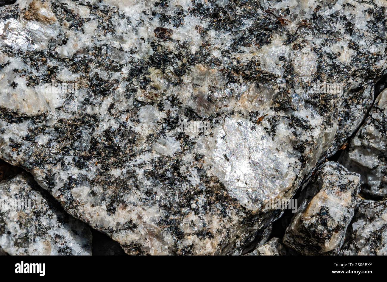 Close up of gneiss, a high grade metamorphic rock consisting of ...