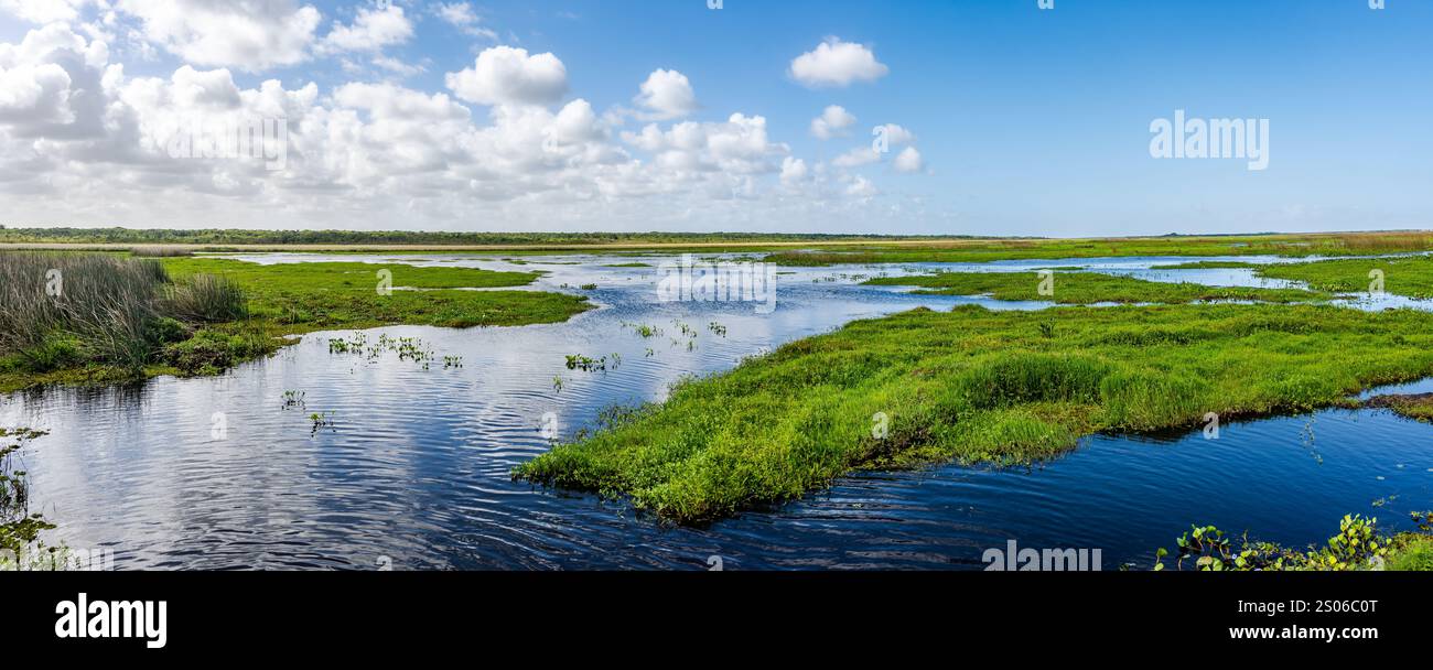 Lush green marsh around Lagoa do Peixe National Park, Rio Grande do Sul ...