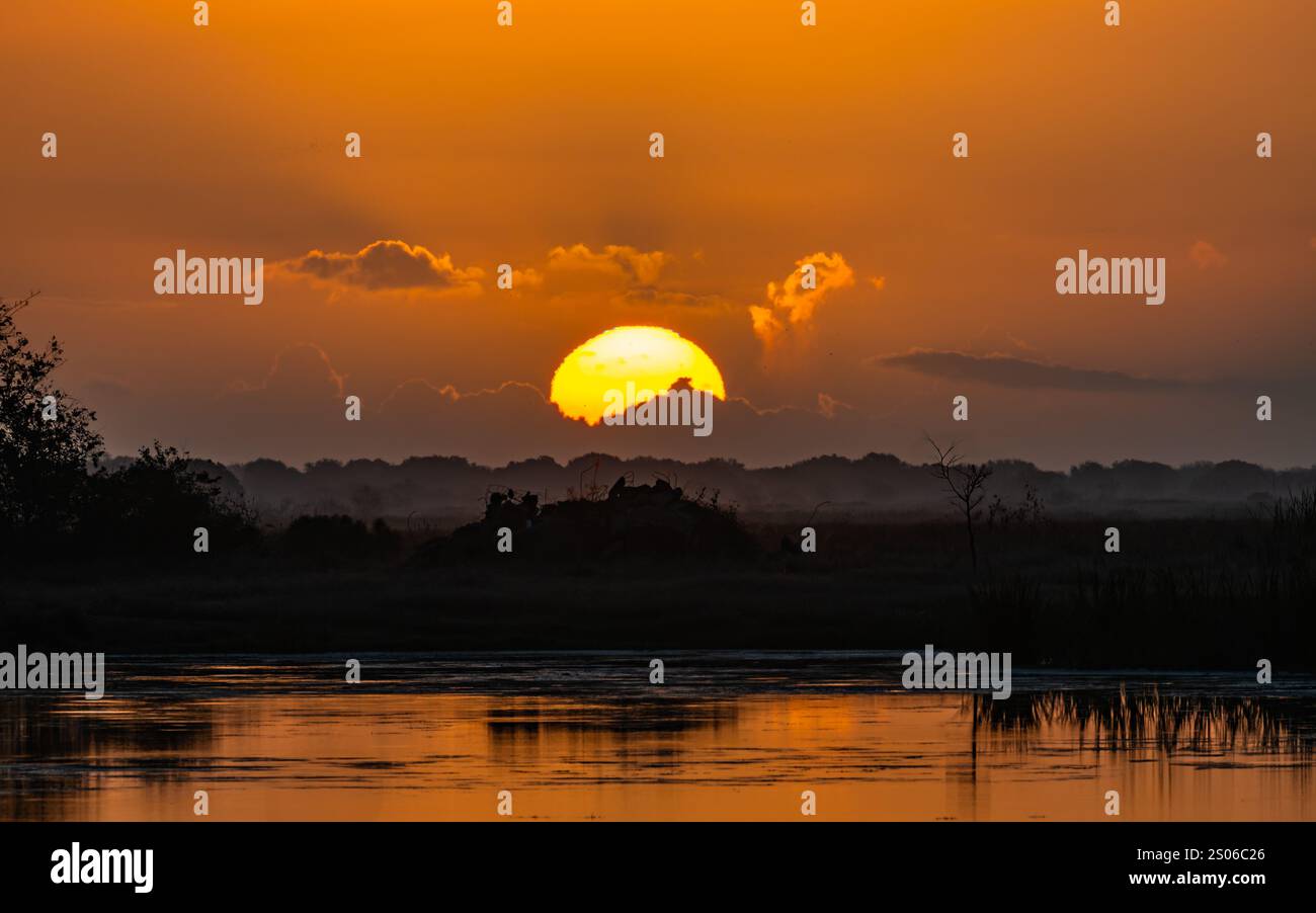 Sunrise over marsh hi-res stock photography and images - Alamy