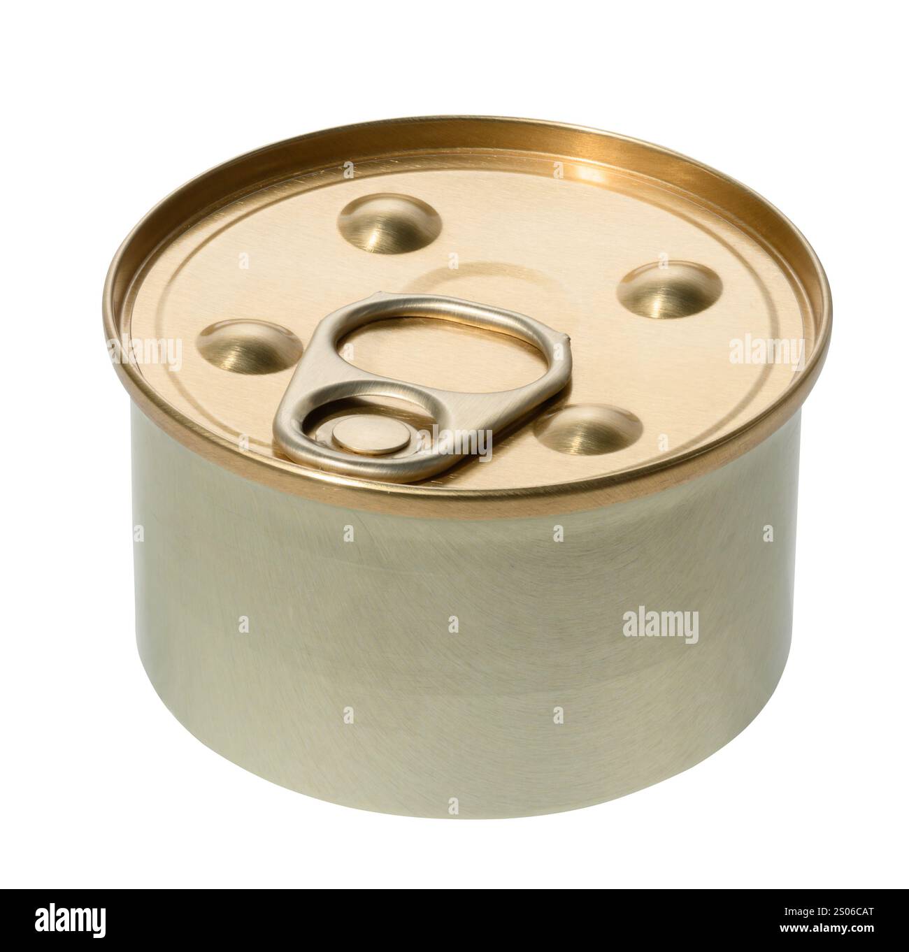 Round tin can with closed lid on isolated background Stock Photo - Alamy