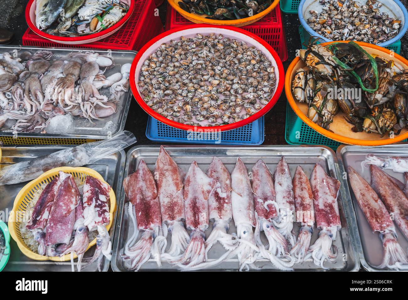 Seafood, including shrimp, octopuses, clams, sea snails, squid, octopus ...