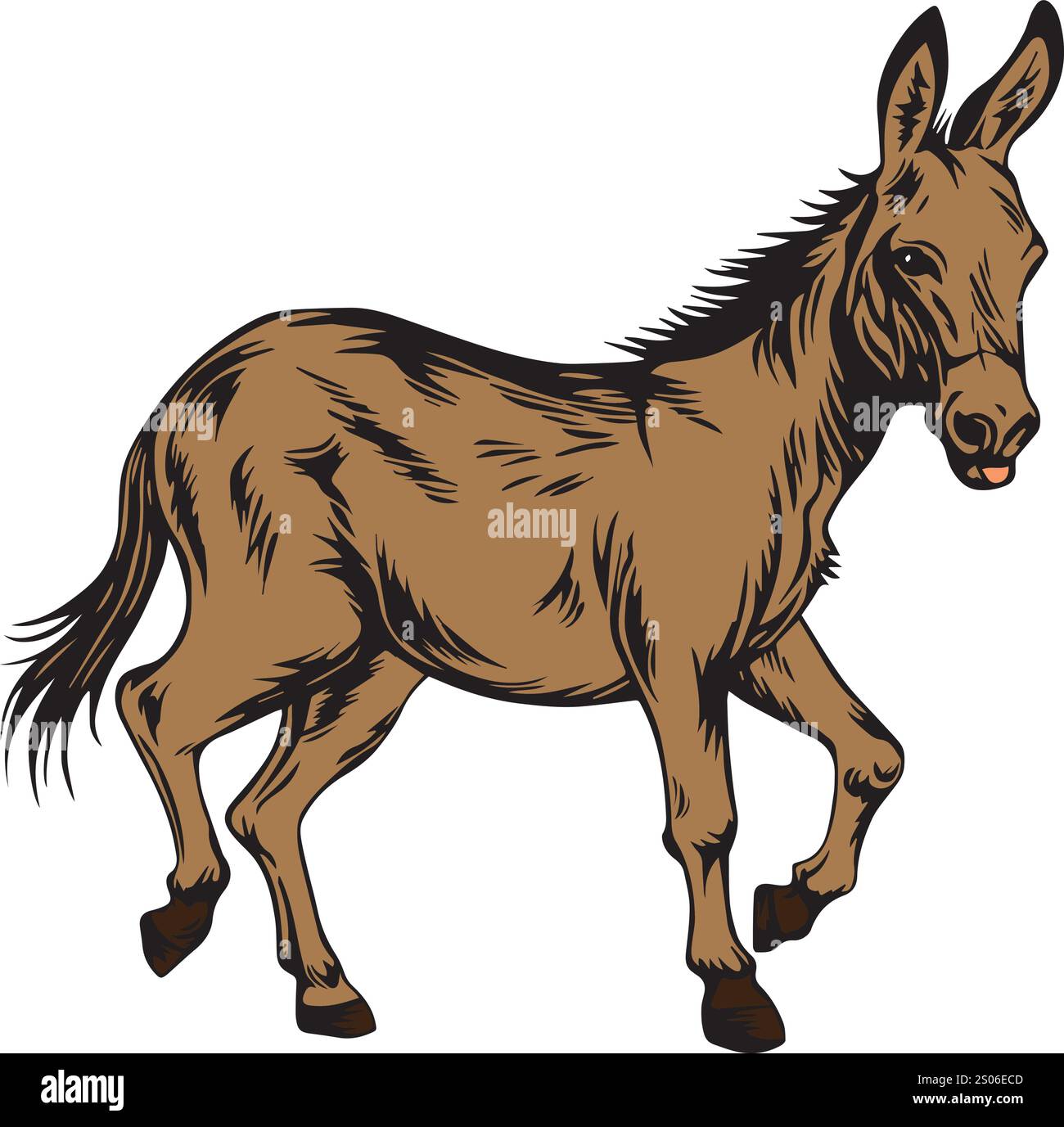 vector colorful donkey silhouette drawings Stock Vector Image & Art - Alamy