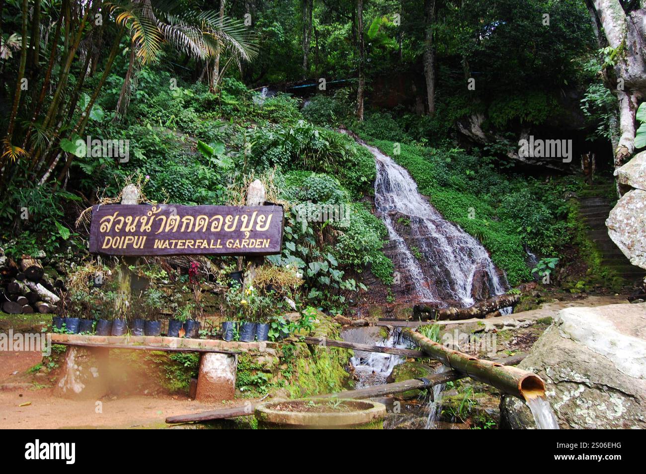 View landscape garden park of Doi Pui waterfalls for thai people ...