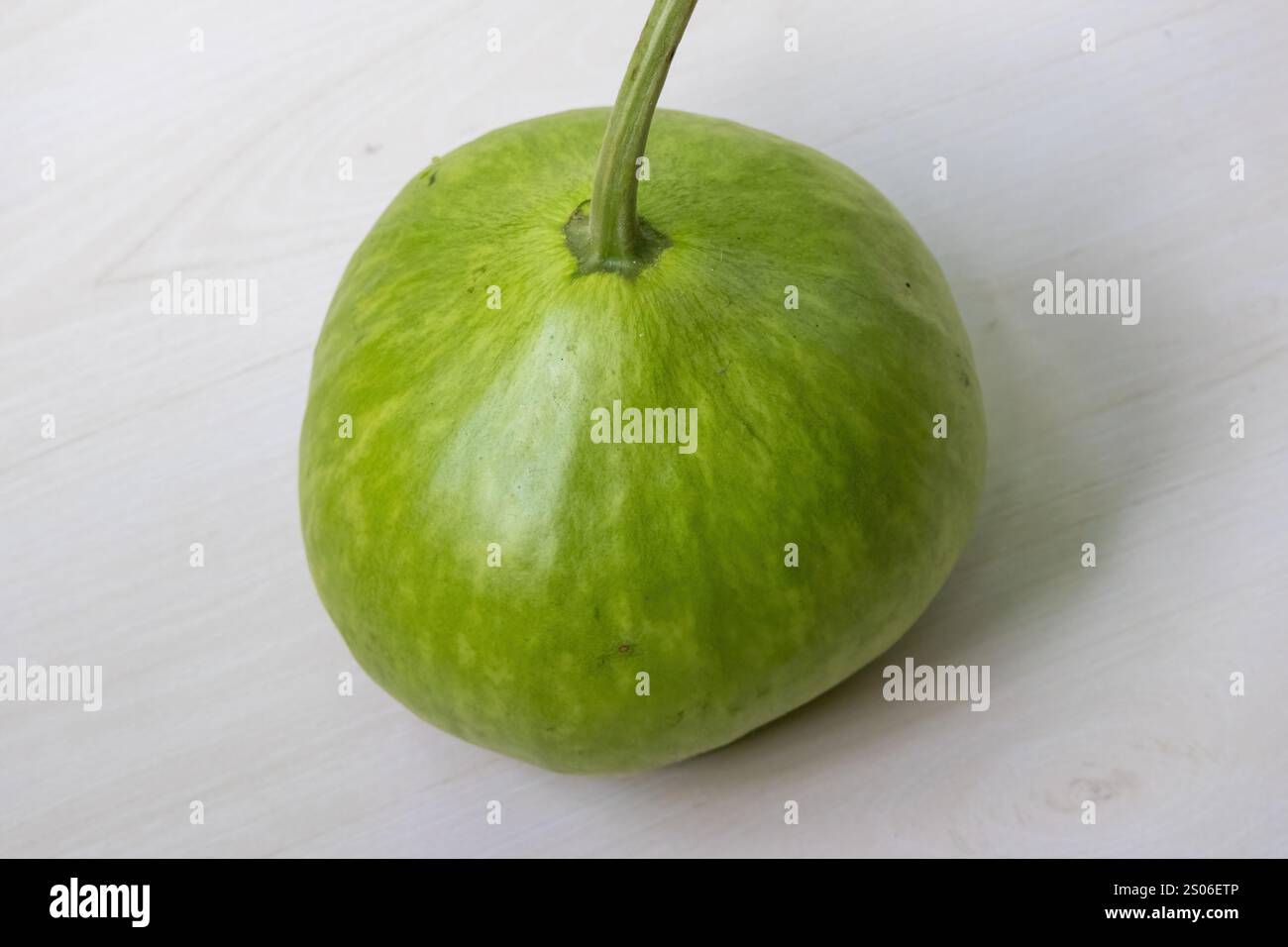 Fresh green round gourd (calabash) from the farm Stock Photo - Alamy