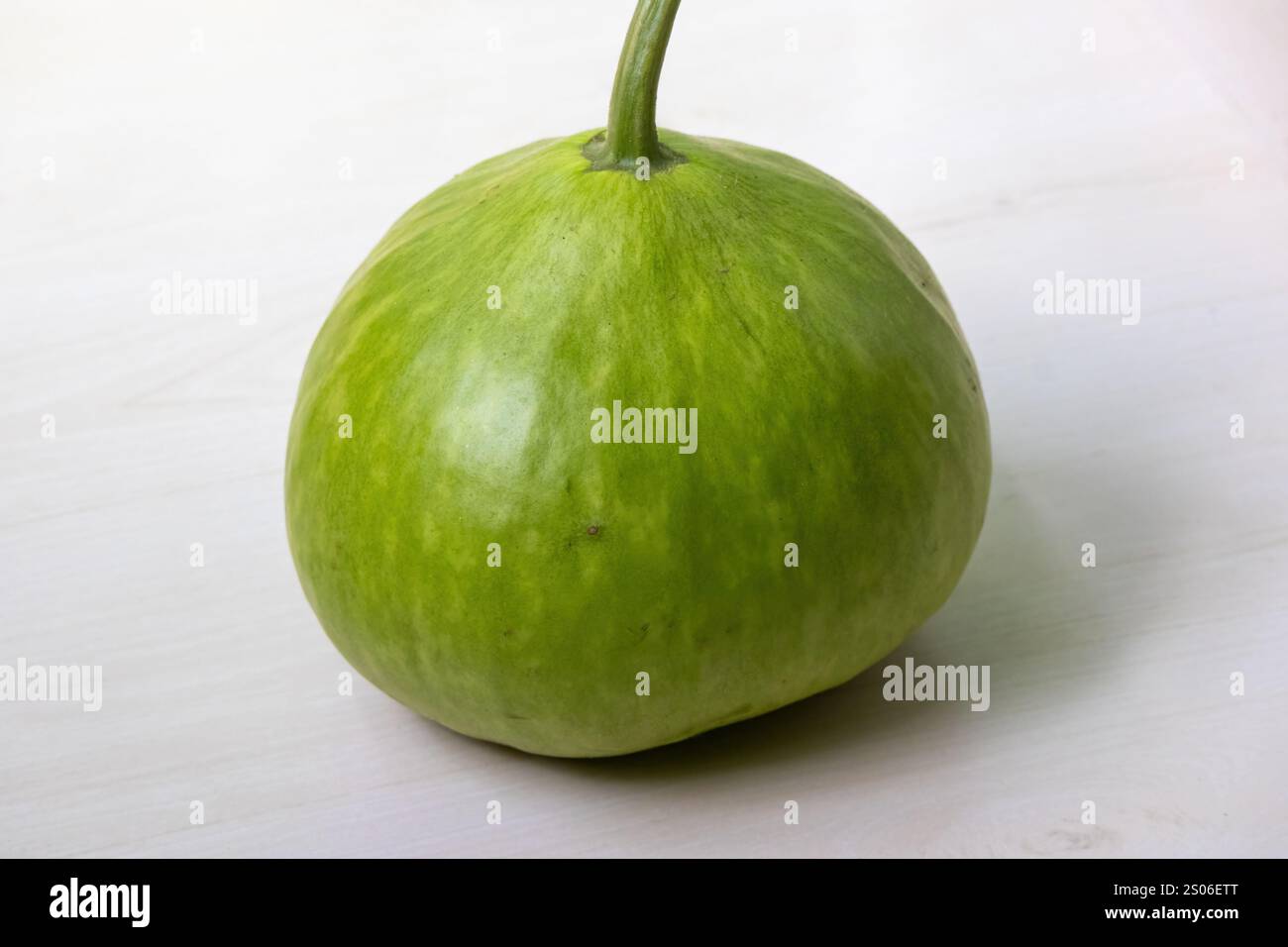 A fresh, green round gourd, also known as calabash, freshly harvested ...