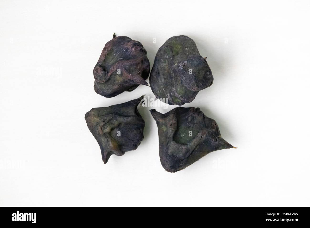 Water chestnuts, isolated on a white background. Locally known as ...