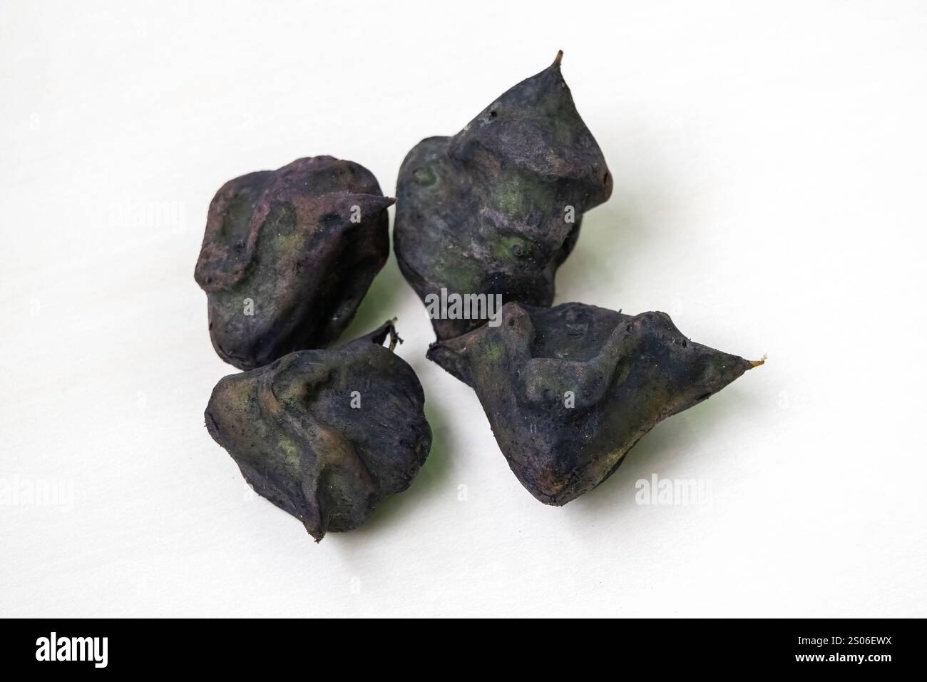 Water chestnuts, isolated on a white background. Locally known as ...