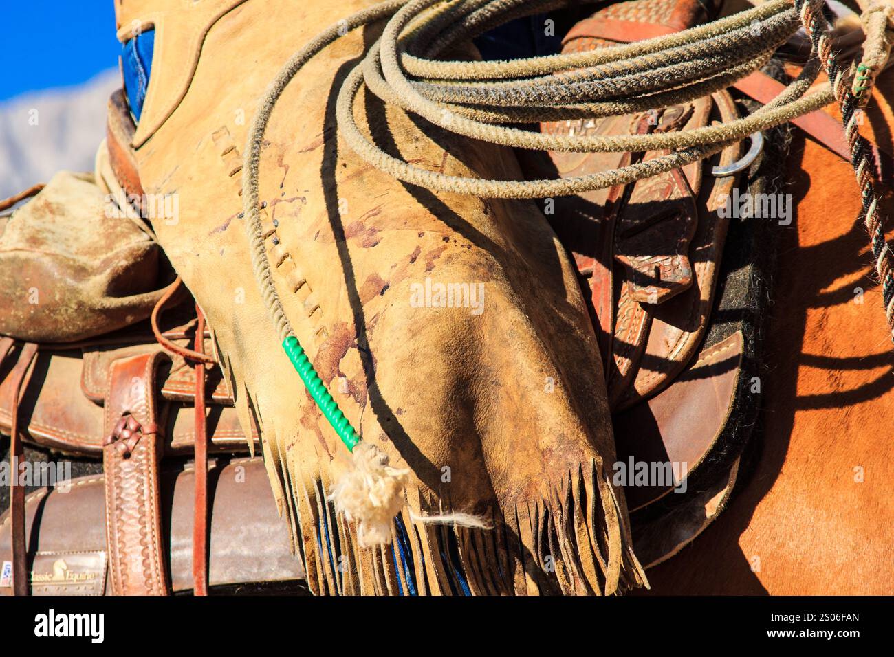 A brown leather strap with green beads on it is tied to a horse's tail ...