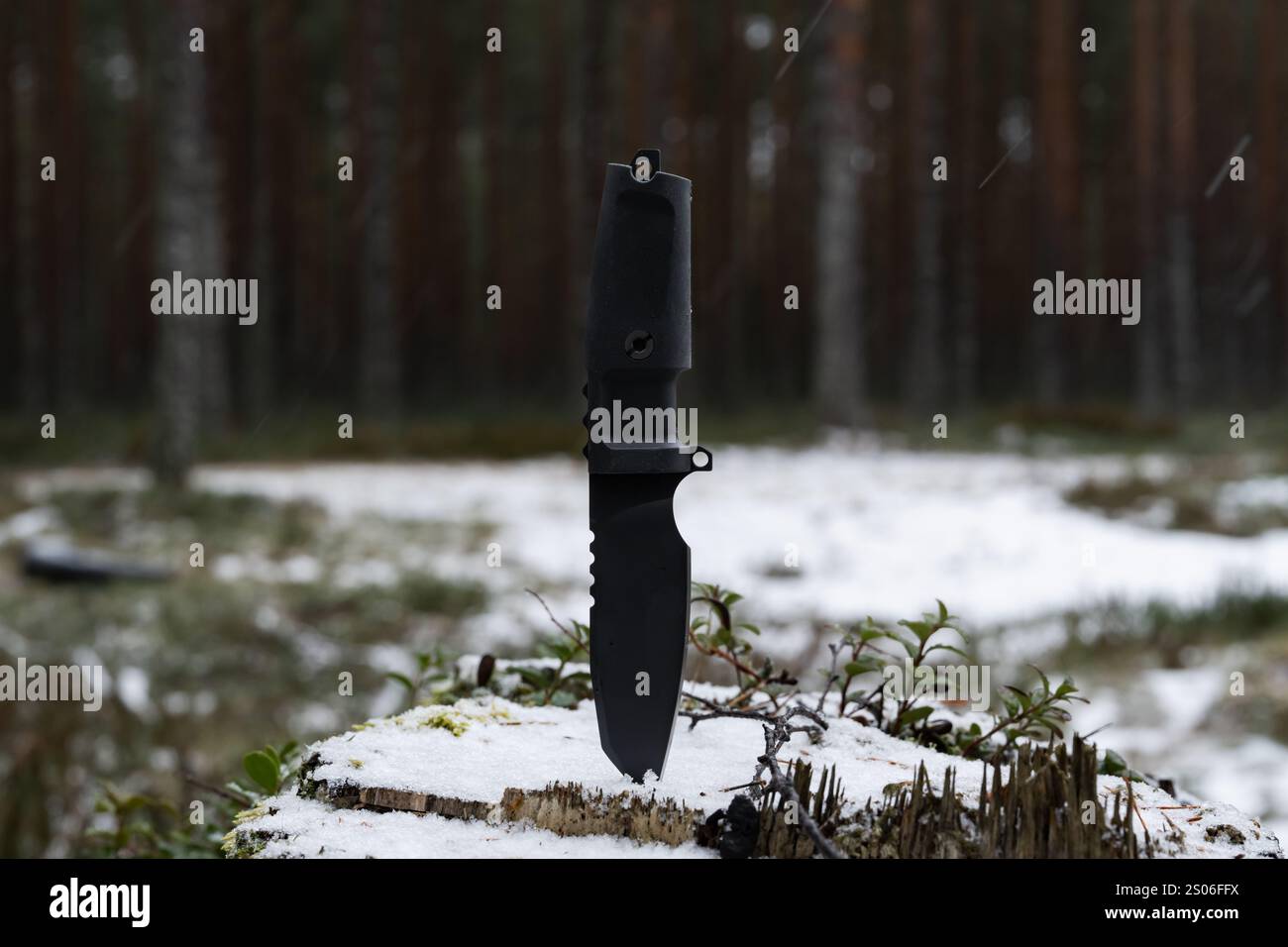 A fixed blade tactical knife is stuck into a tree stump in a winter ...