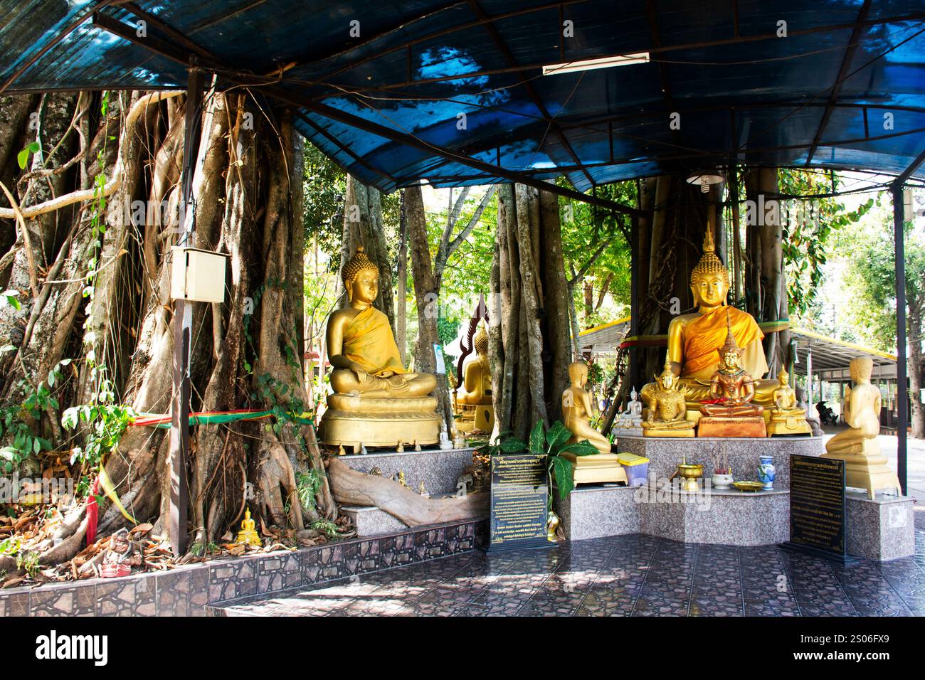 Holy buddha statue for thai people travelers travel visit and respect ...
