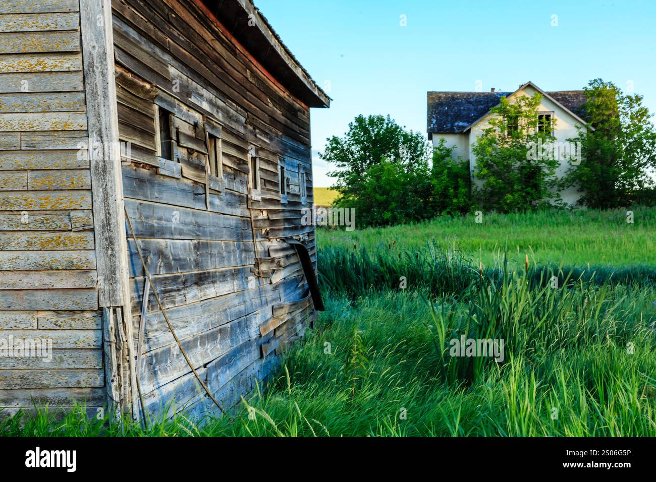 A large, old barn sits in a field next to a house. The barn is in a state of disrepair, with its ...