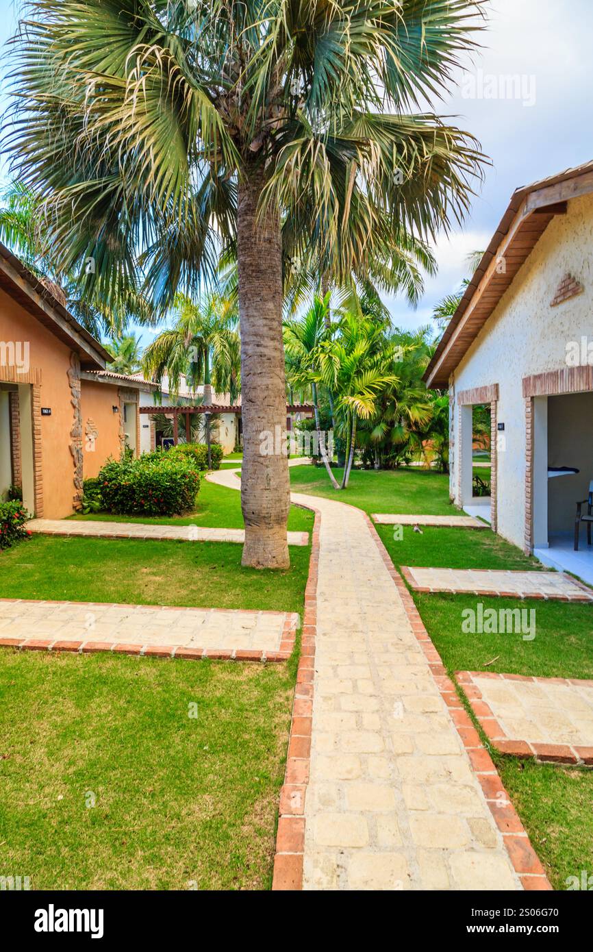 A walkway in front of a house with a palm tree. The walkway is made of ...
