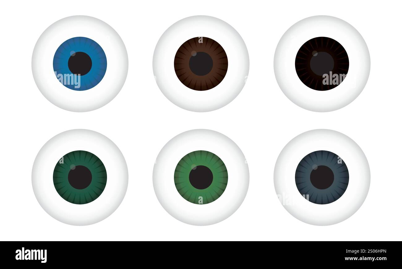 Realistic 3d human eyeball. Colored eye iris set on white background ...