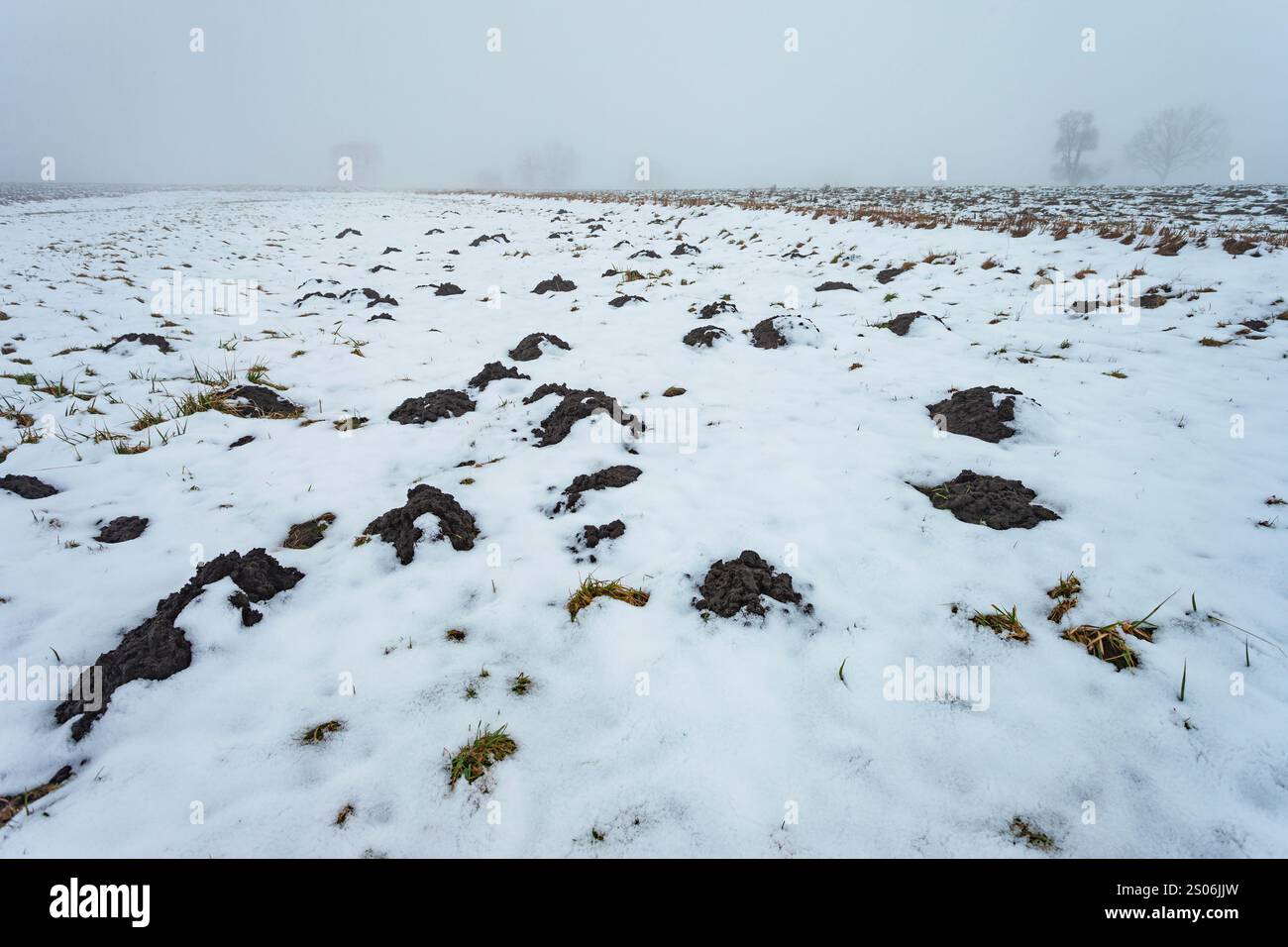 Rural landscape plowed field hi-res stock photography and images - Alamy
