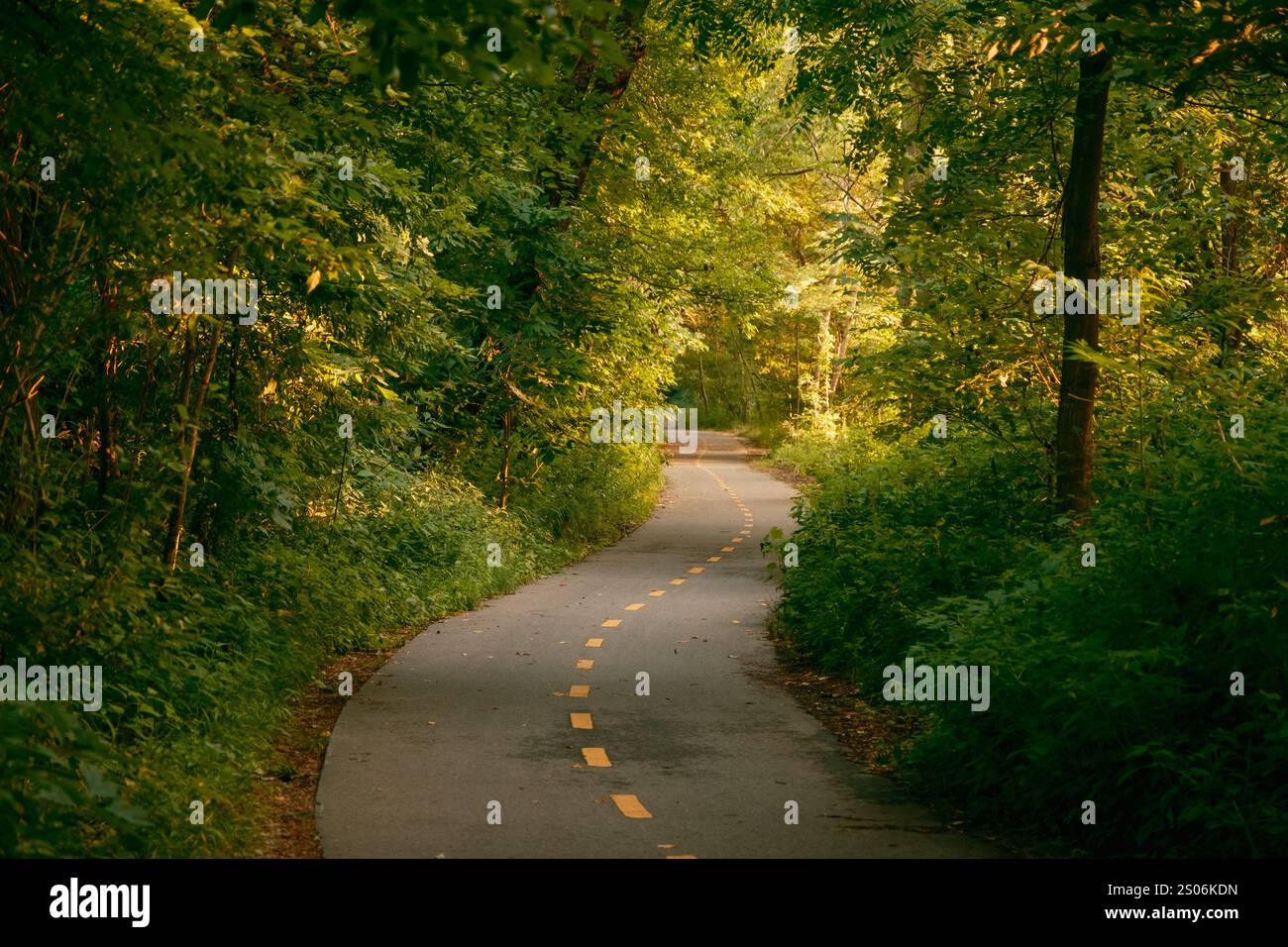 Trail in the woods in Van Cortlandt Park, The Bronx, New York City ...