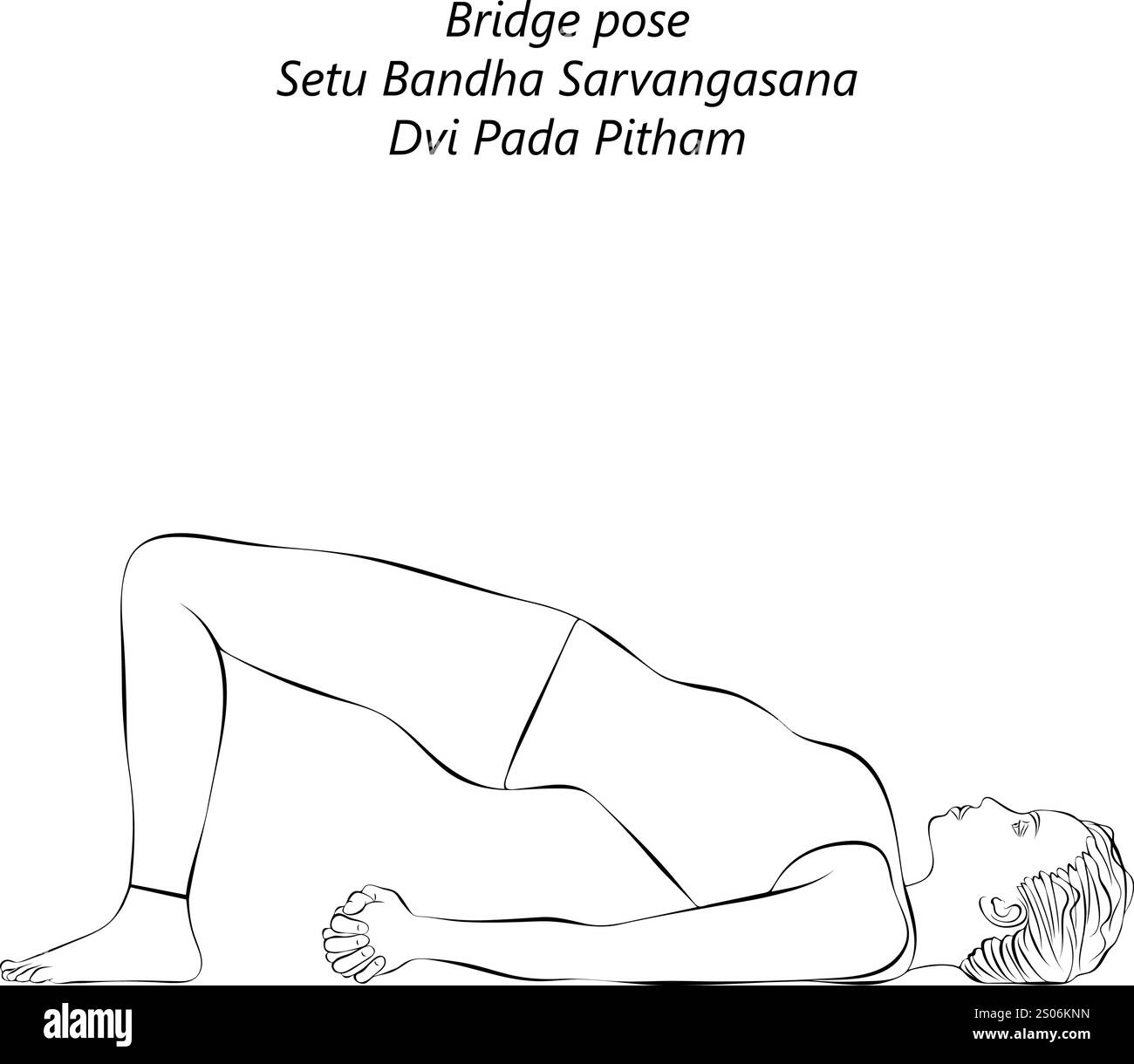 Sketch of young woman practicing Setu Bandha Sarvangasana yoga pose. Dvi Pada Pitham pose ...