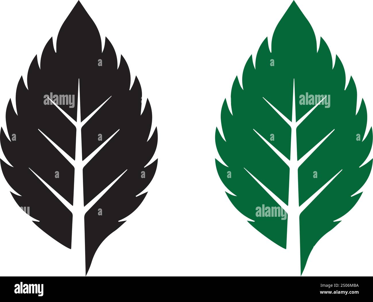 vector colorful leaf plant drawing sets designs Stock Vector Image ...