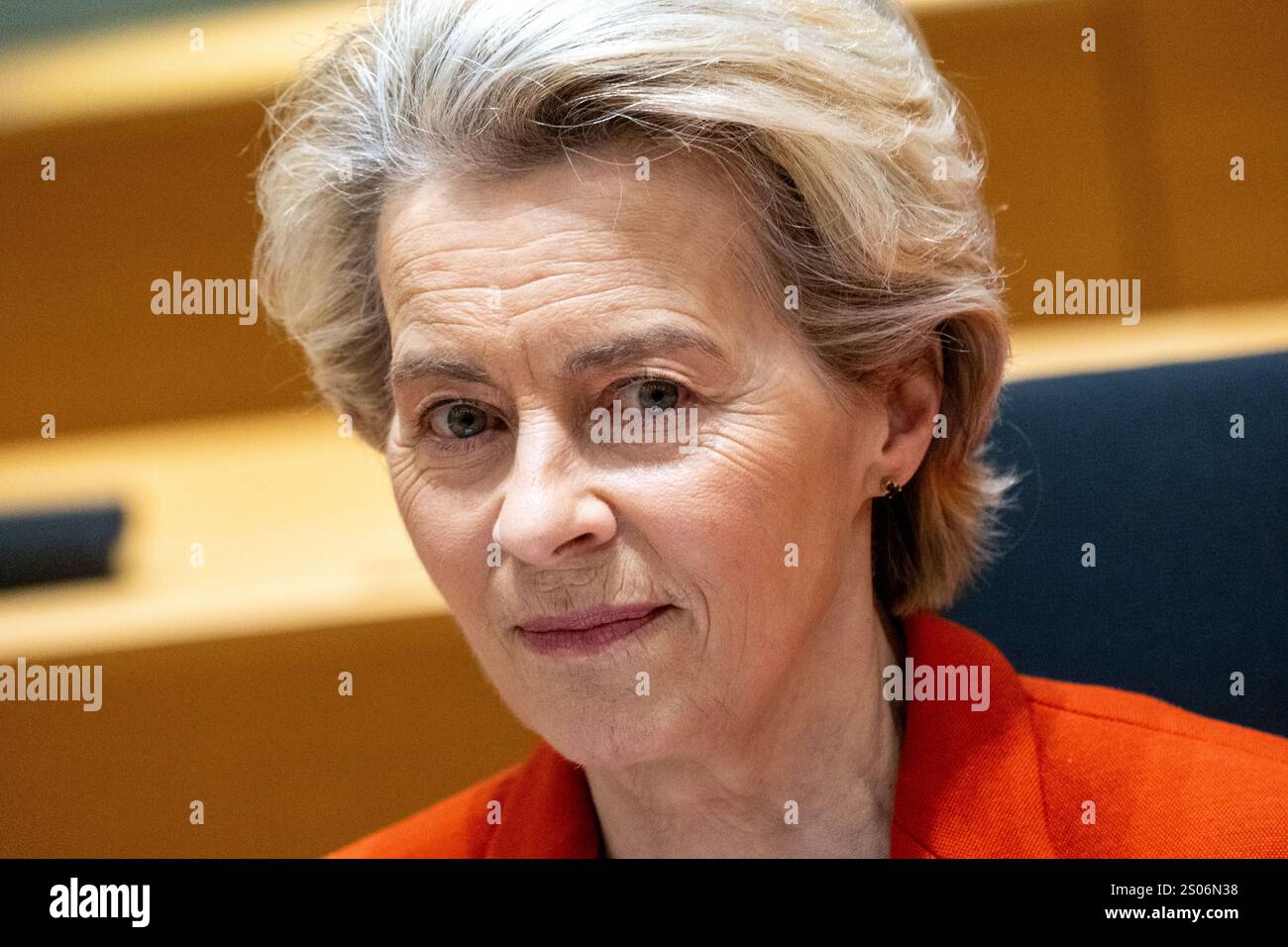 President of the European Commission URSULA VON DER LEYEN during the ...