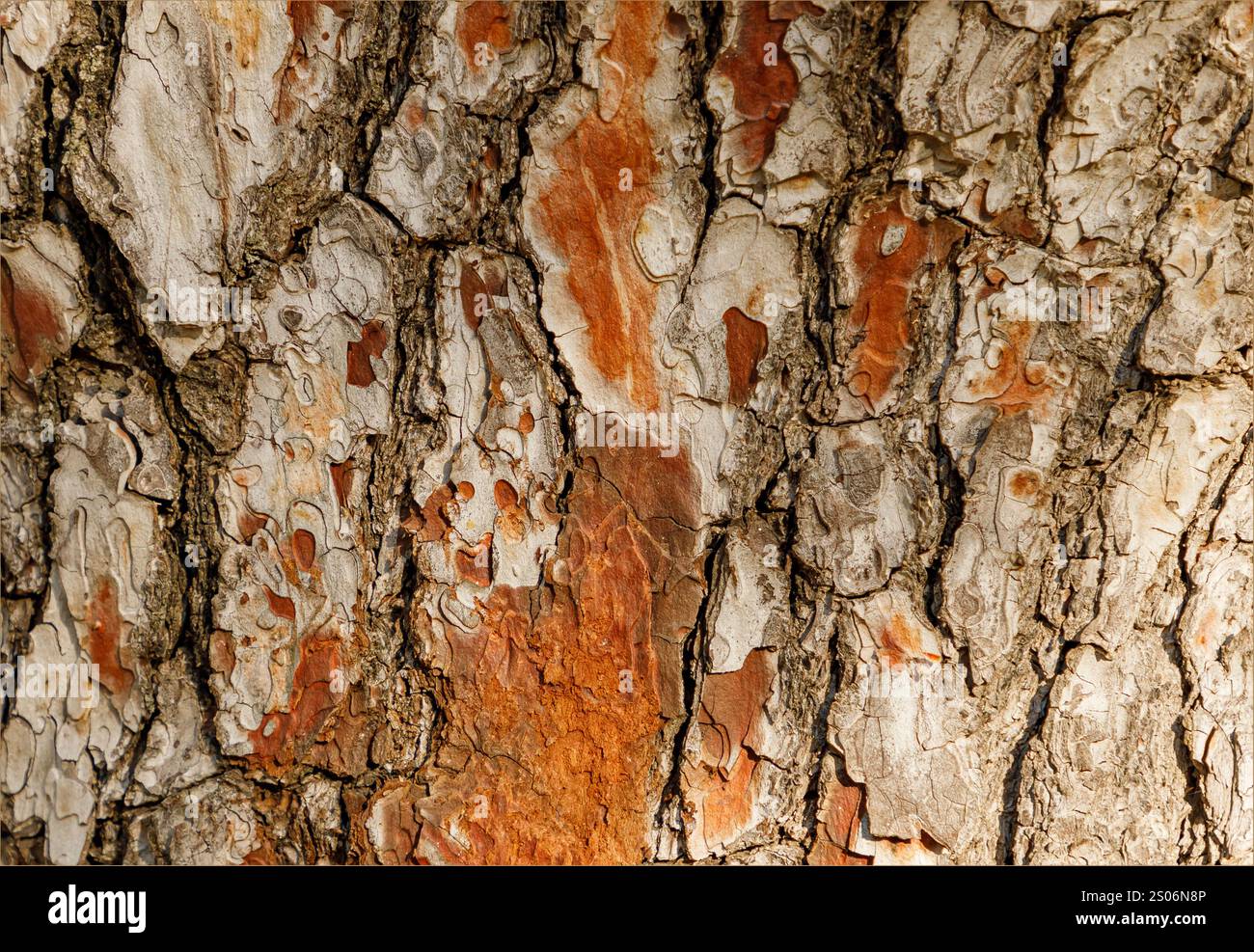 Tarragona, Spain - December 24th 2024 - Background of flakey orange and ...