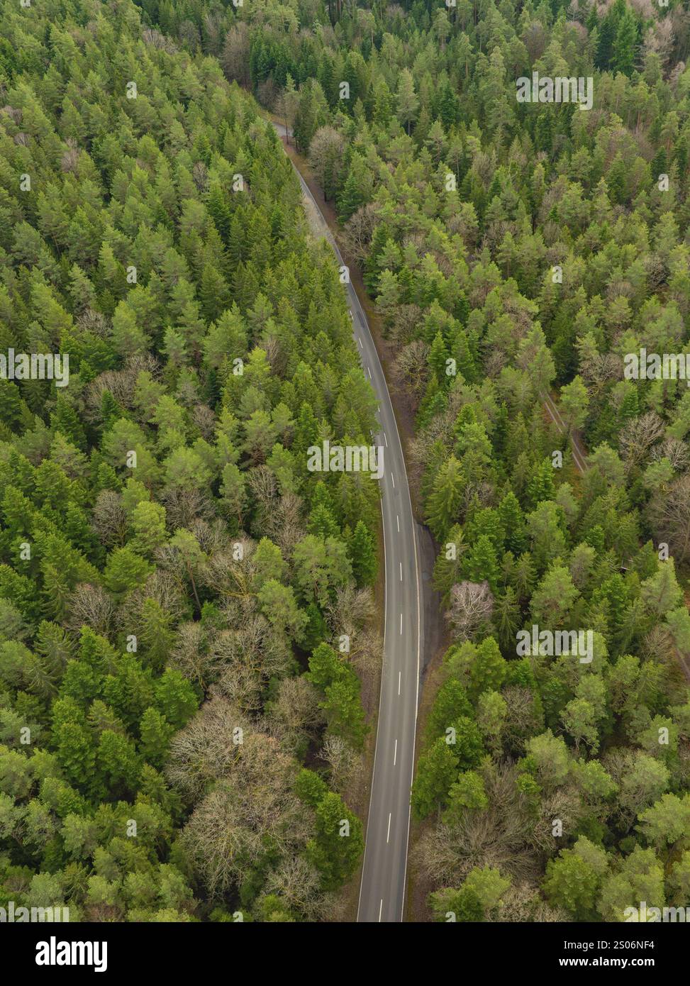 Bird's eye view shows a long, winding road through a dense, green ...