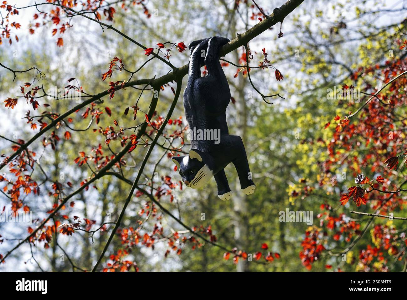 Black cat, funny figure hanging upside down, doing gymnastics in a tree, garden decoration ...