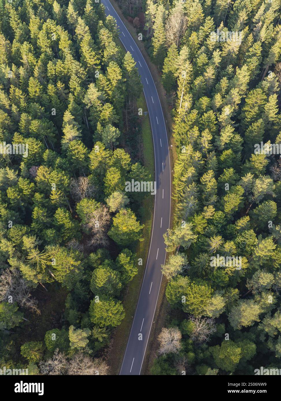 Bird's eye view of a winding road meandering through a dense, green ...