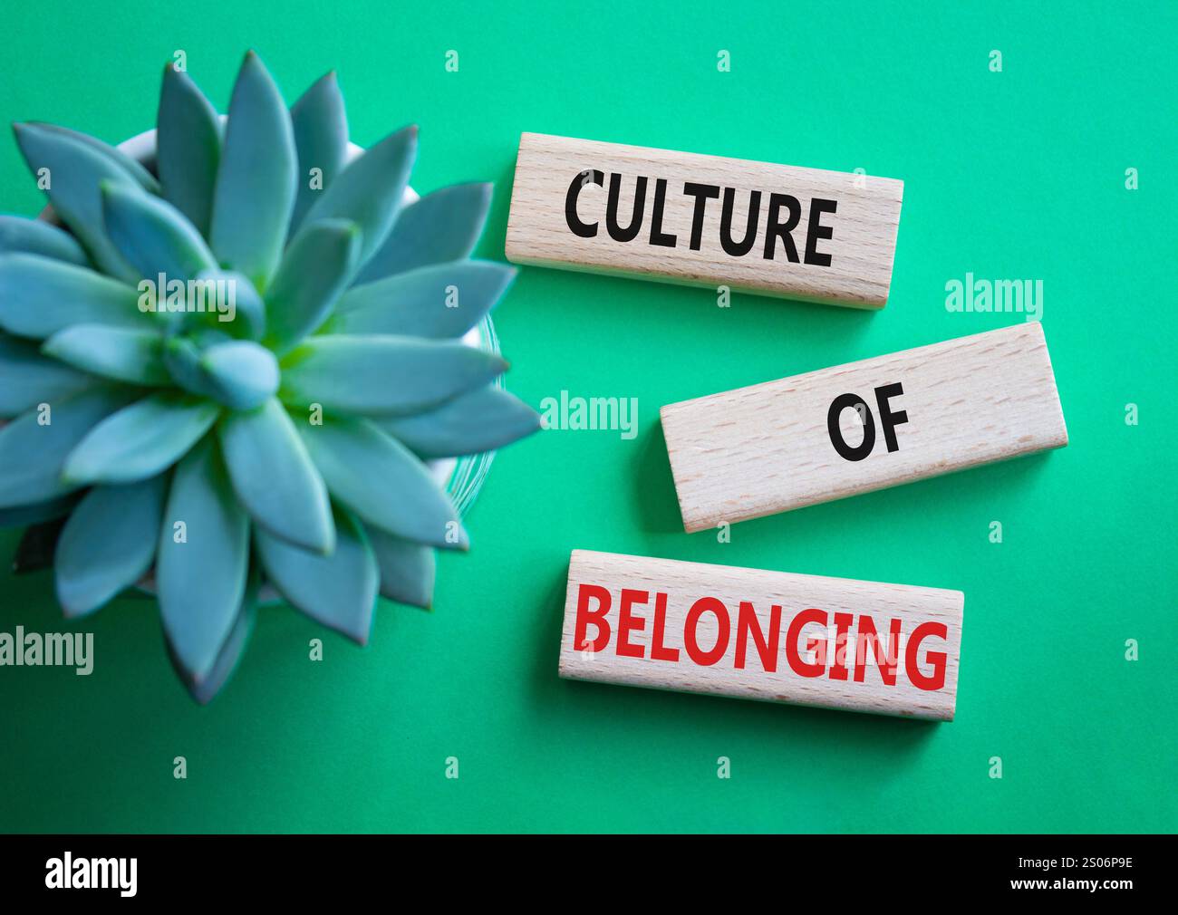 Culture of Belonging symbol. Wooden blocks with words Culture of ...