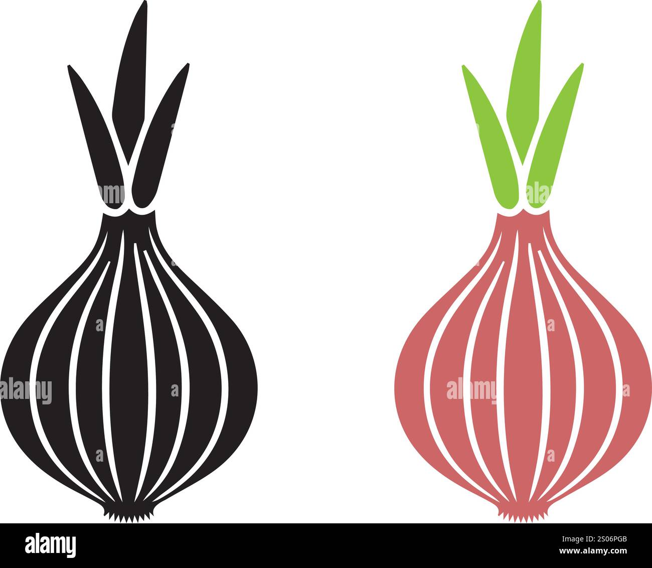 vector onion, vegetable plant set drawings Stock Vector Image & Art - Alamy