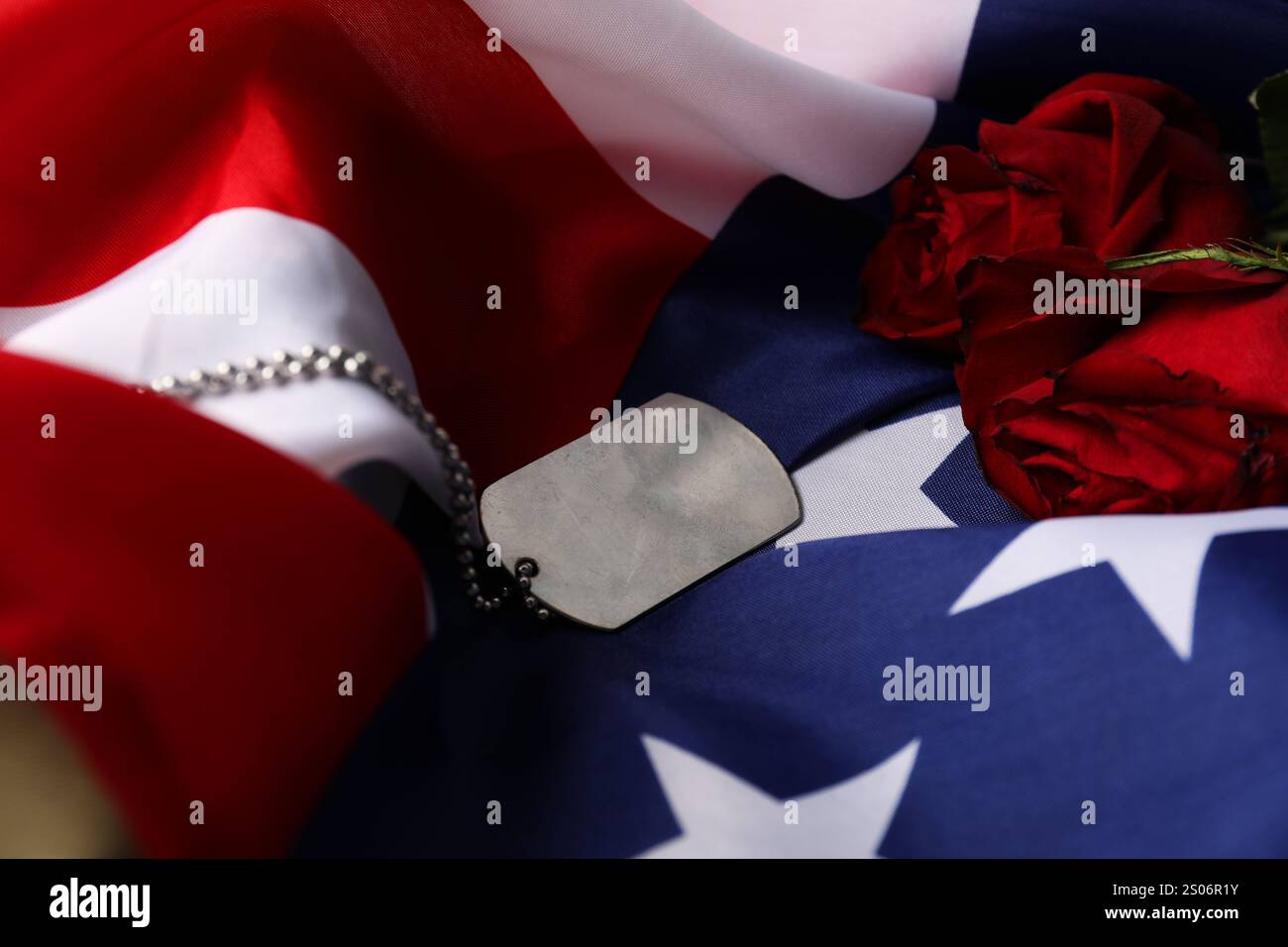 Veterans day. Army token, American flag and roses, closeup Stock Photo ...