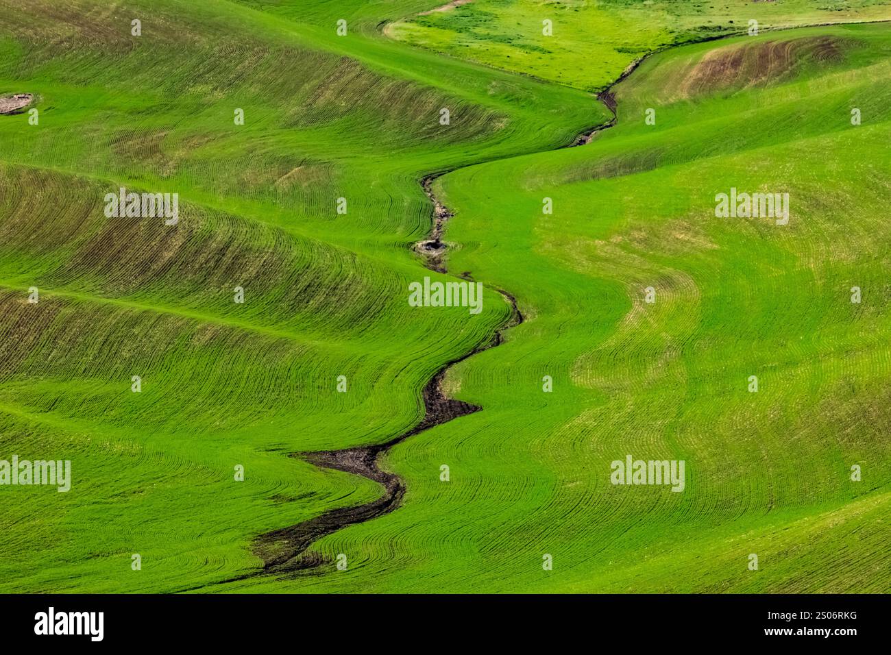 Wheat farming on the rolling hills of the Palouse region, Washington ...