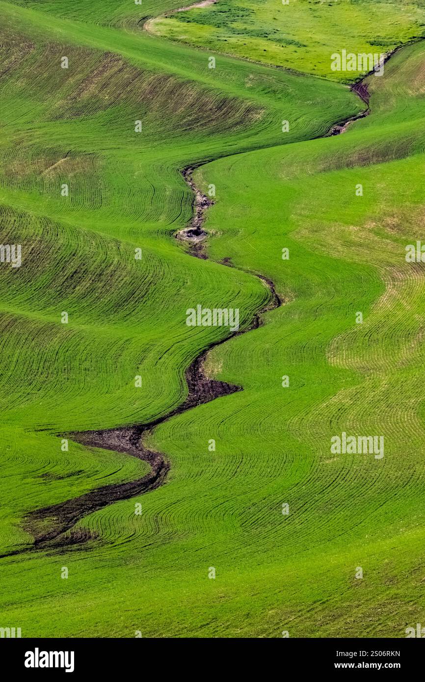 Wheat farming on the rolling hills of the Palouse region, Washington ...
