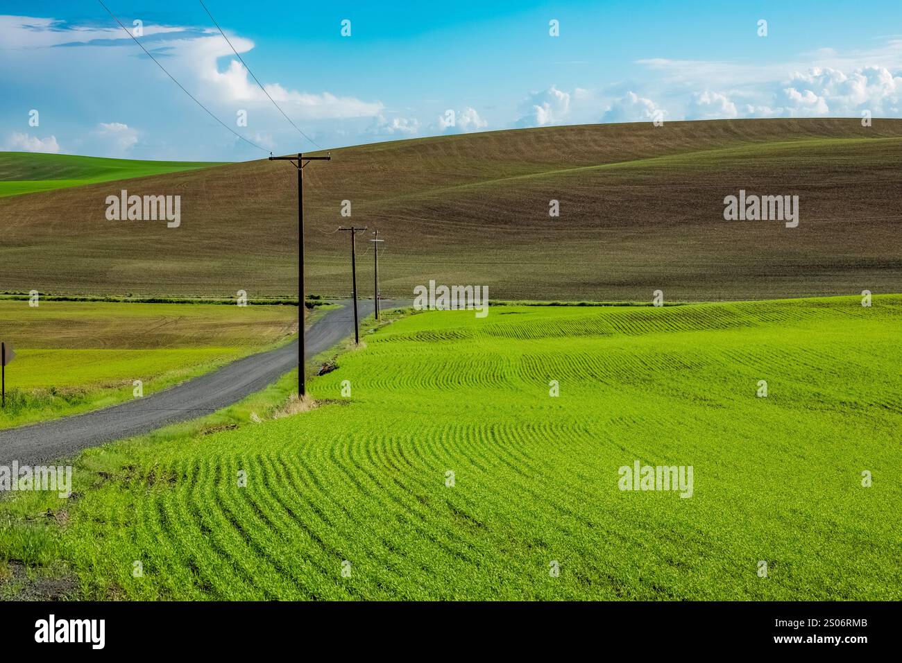 Back road winding through the wheat farming region known as The Palouse ...