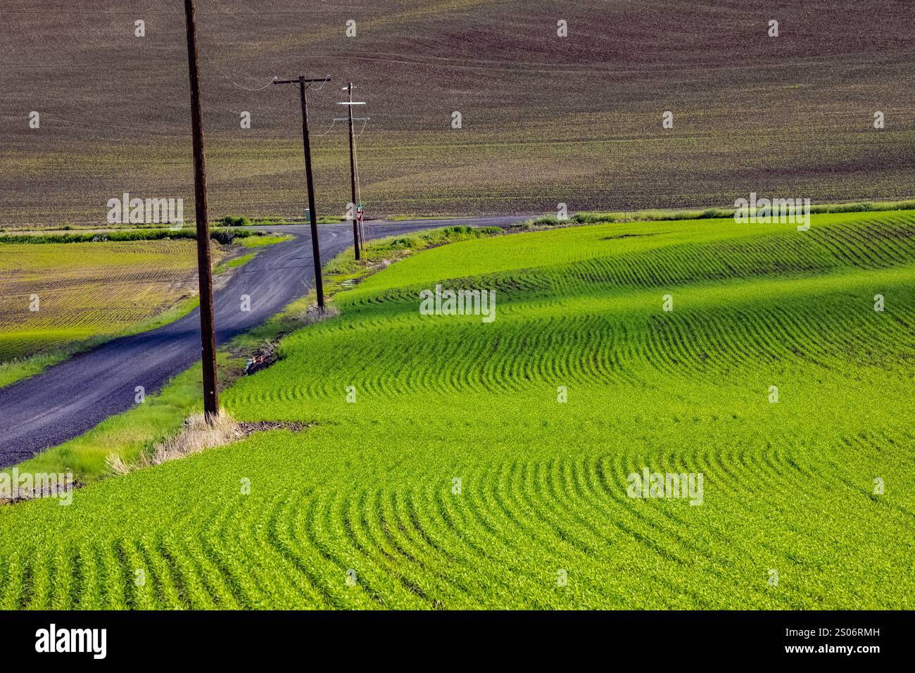 Back road winding through the wheat farming region known as The Palouse ...