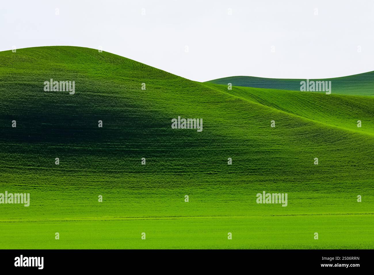 Wheat farming on the rolling hills of the Palouse region, Washington ...