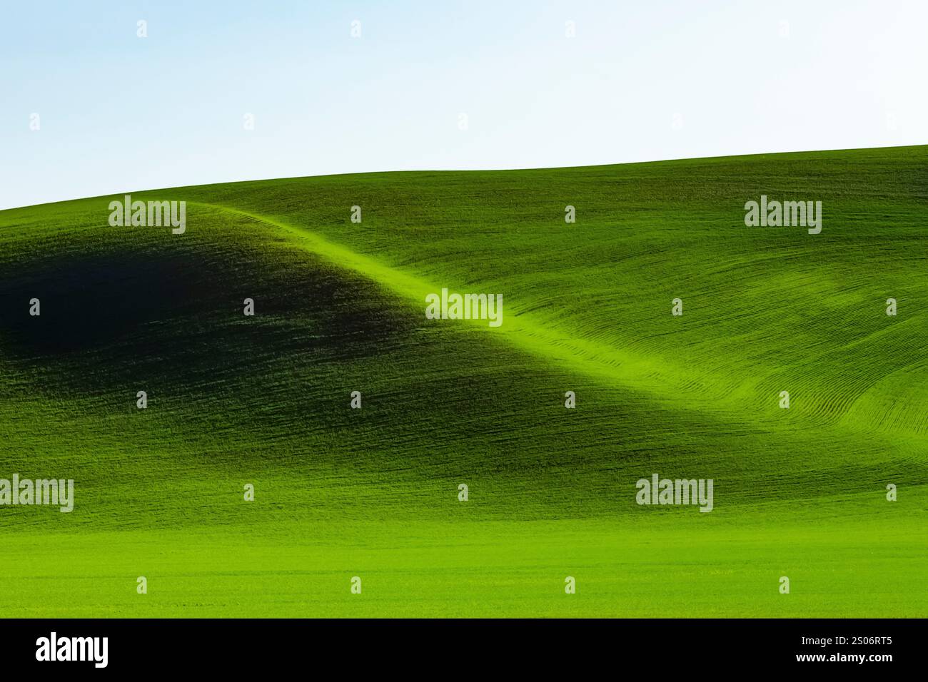 Wheat farming on the rolling hills of the Palouse region, Washington ...