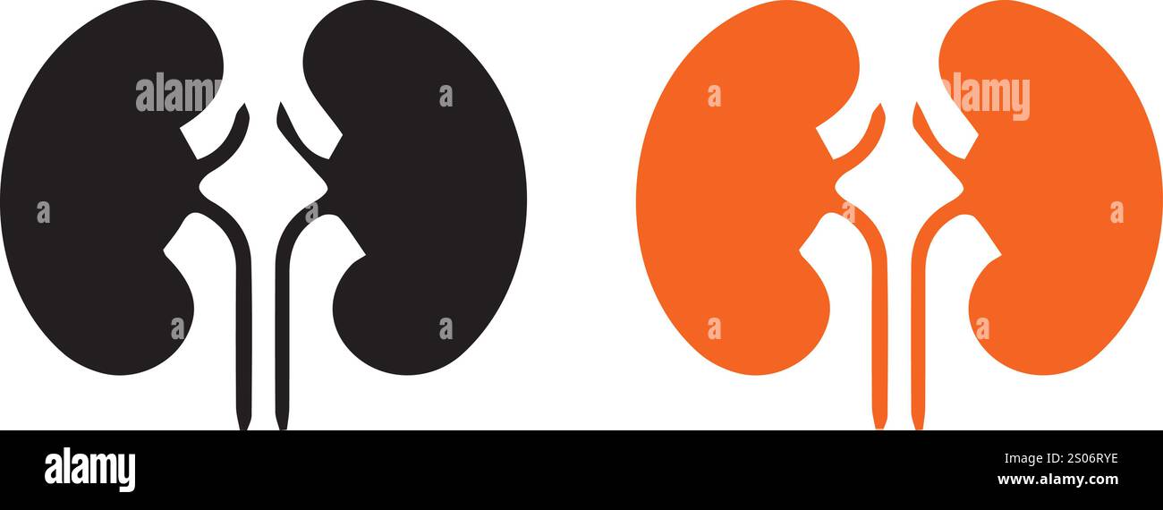 Kidney shape vector vectors hi-res stock photography and images - Alamy