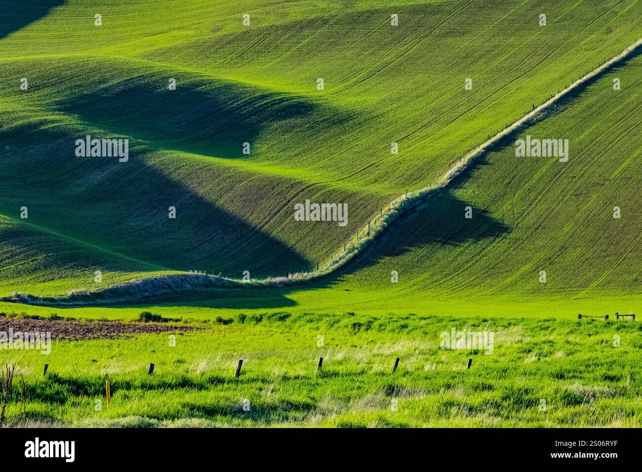 Wheat farming on the rolling hills of the Palouse region, Washington ...
