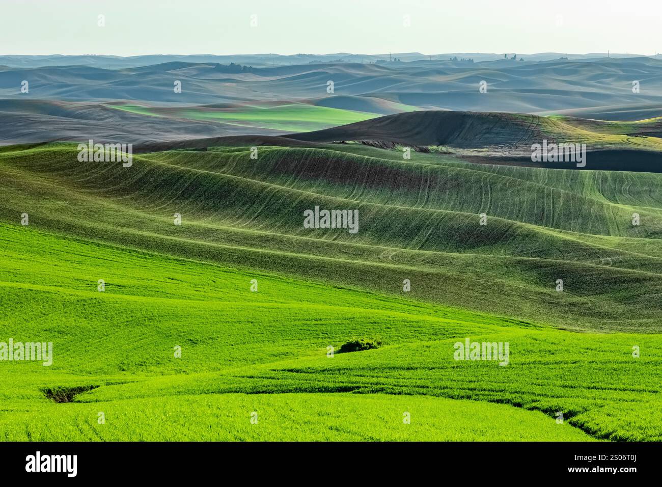 Wheat farming on the rolling hills of the Palouse region, Washington ...