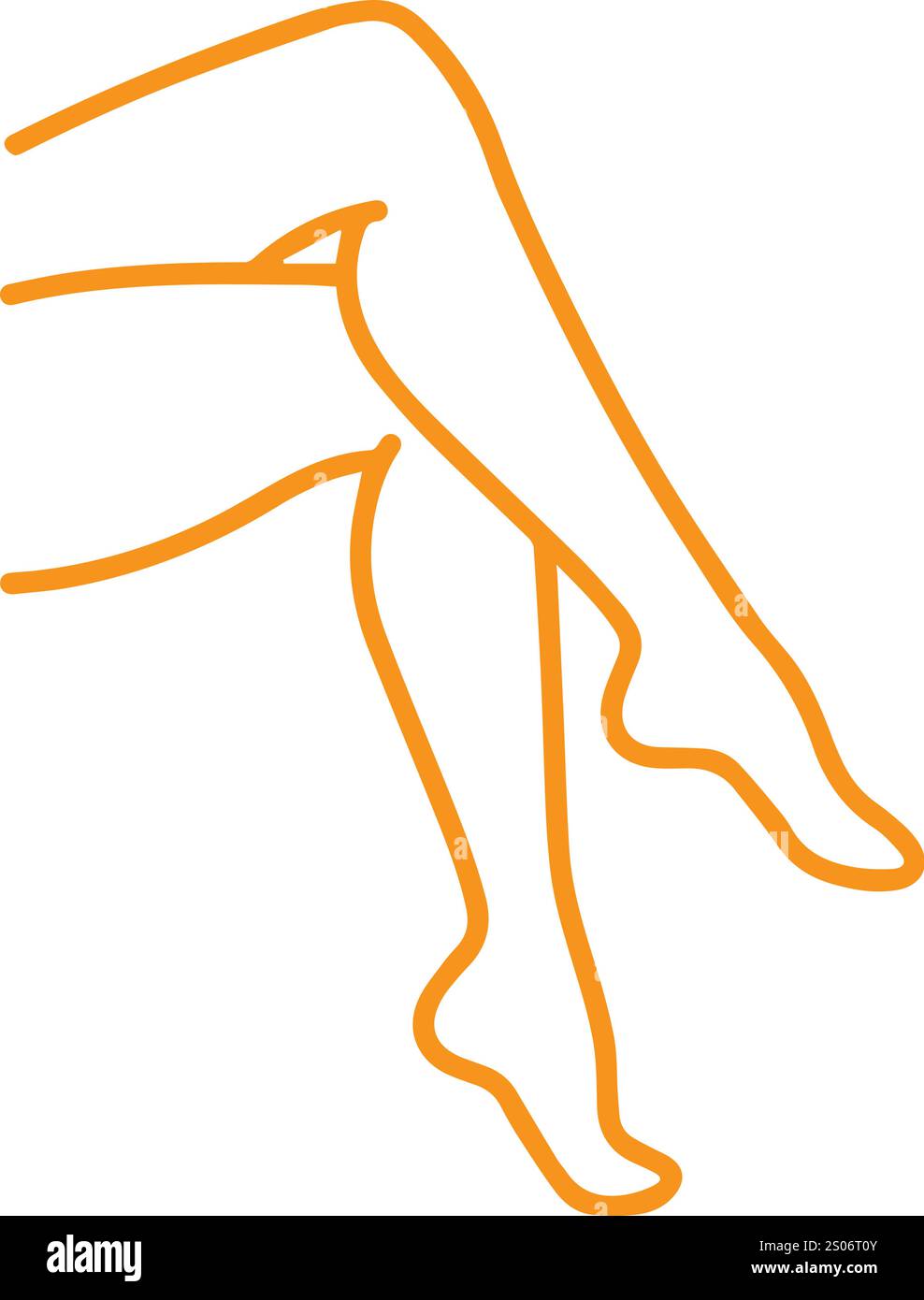 vector leg, prosthetic leg, human organ drawing Stock Vector Image ...