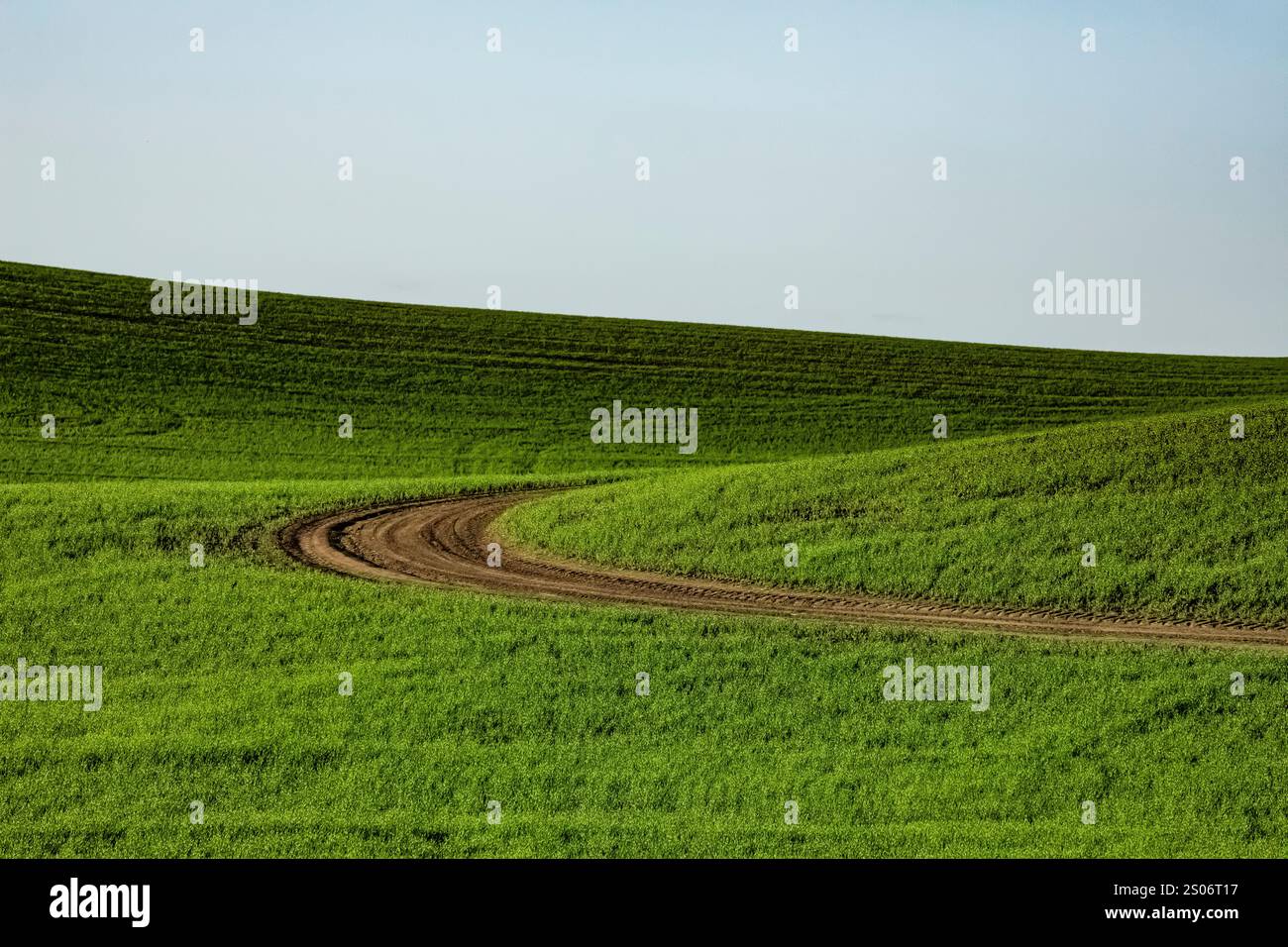 Back road winding through the wheat farming region known as The Palouse ...