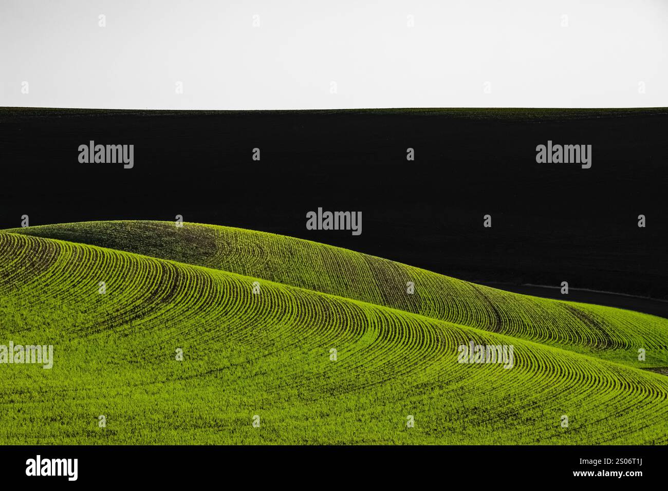 Wheat farming on the rolling hills of the Palouse region, Washington ...