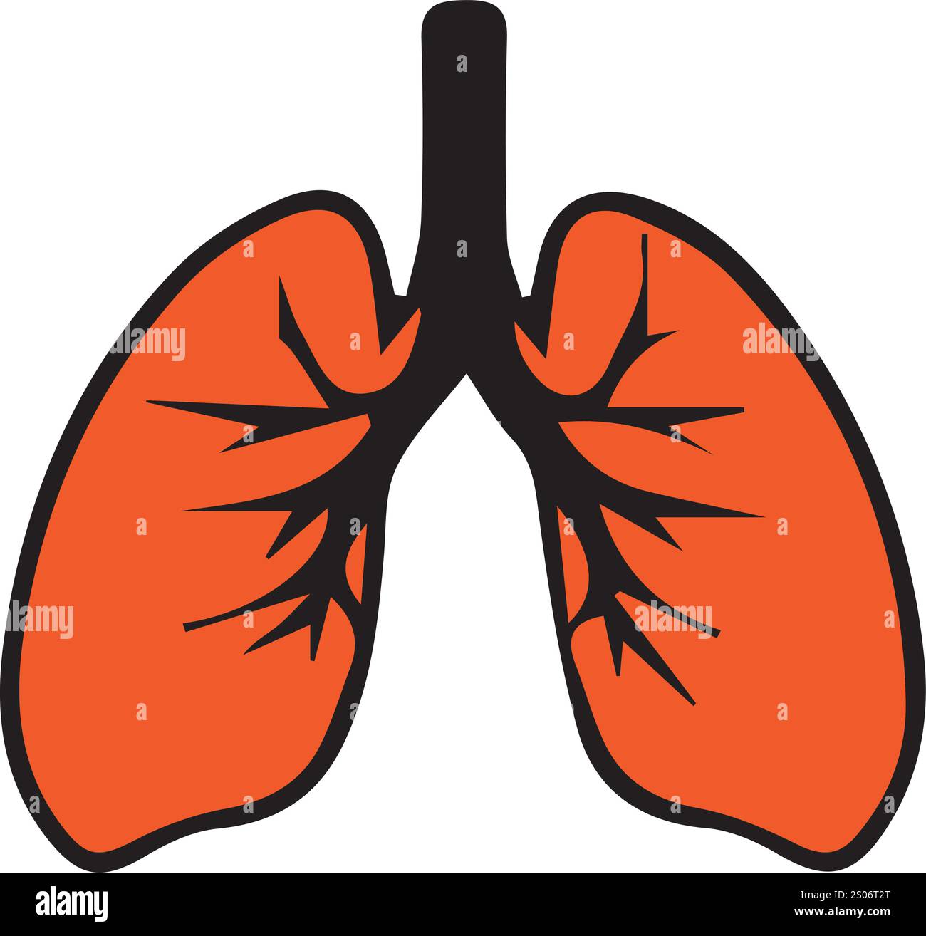 vector liver, human organ drawing Stock Vector Image & Art - Alamy