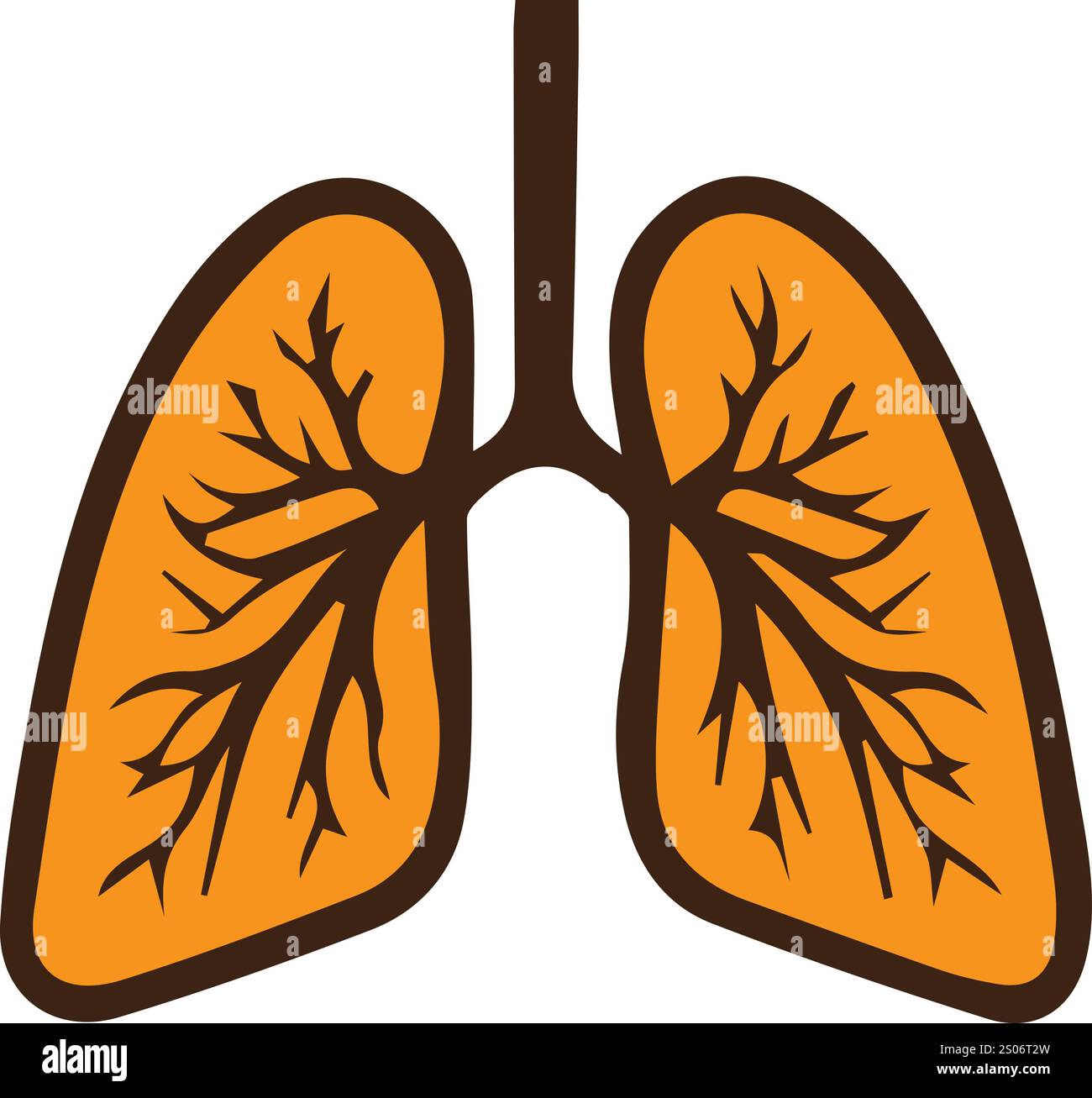 vector liver, human organ drawing Stock Vector Image & Art - Alamy