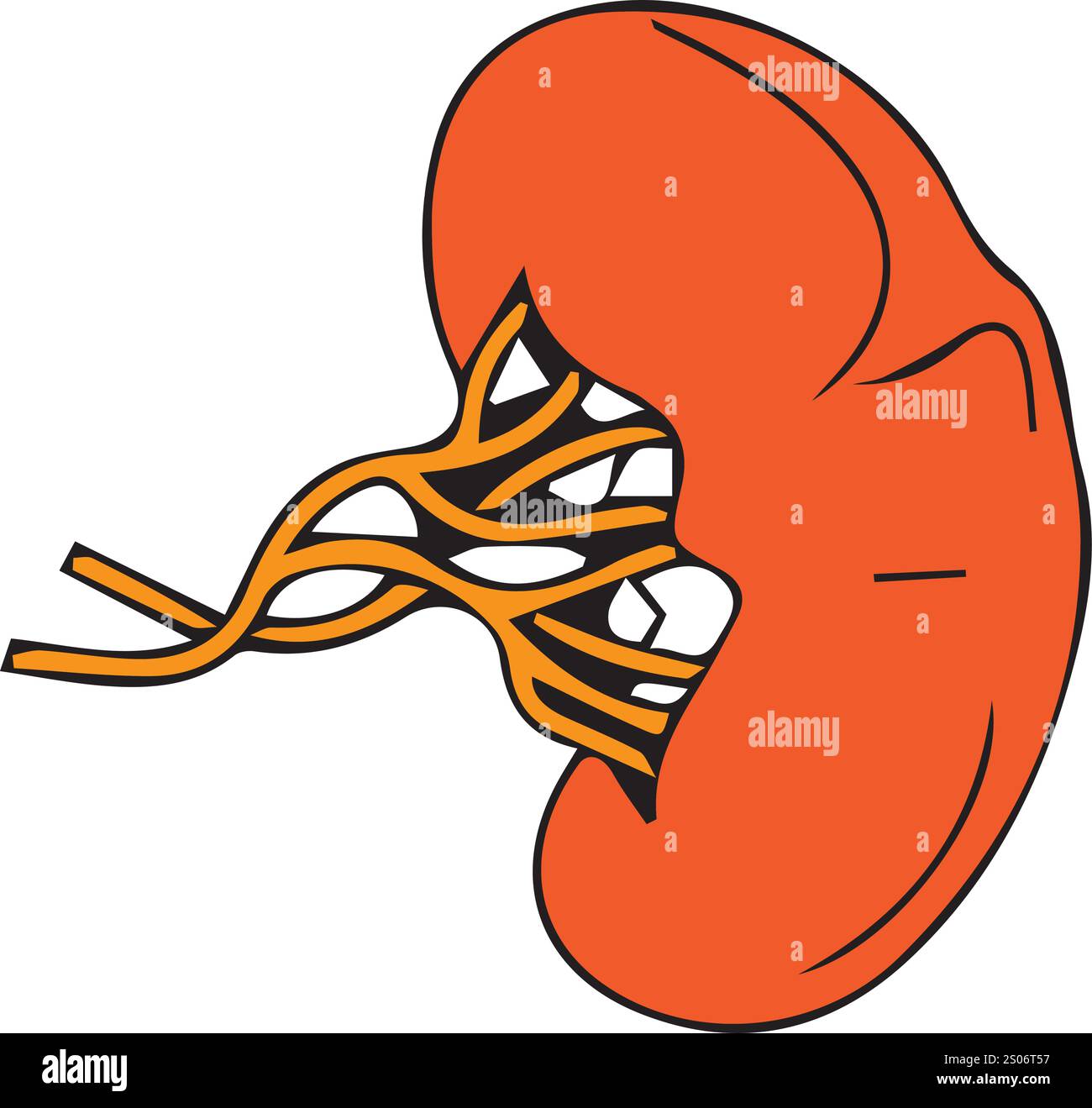 Icon human spleen cartoon Stock Vector Images - Alamy