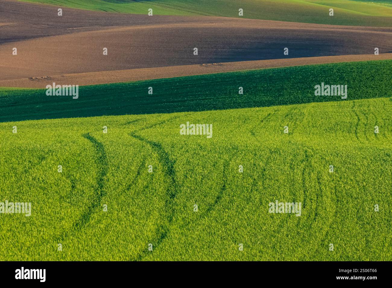 Wheat farming on the rolling hills of the Palouse region, Washington ...