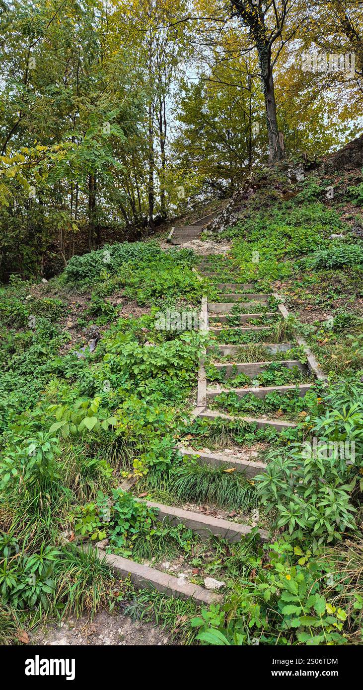 The photo shows wooden steps leading up the slope, which are partially ...