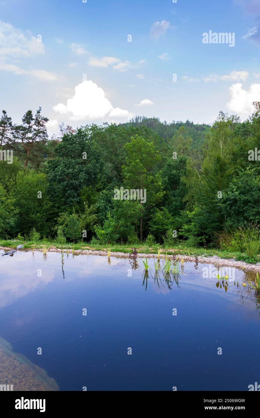 Natural swimming pond or natural swimming pool - NSP - purifying water ...
