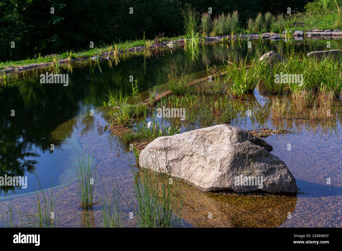 Natural swimming pond or natural swimming pool - NSP - purifying water ...